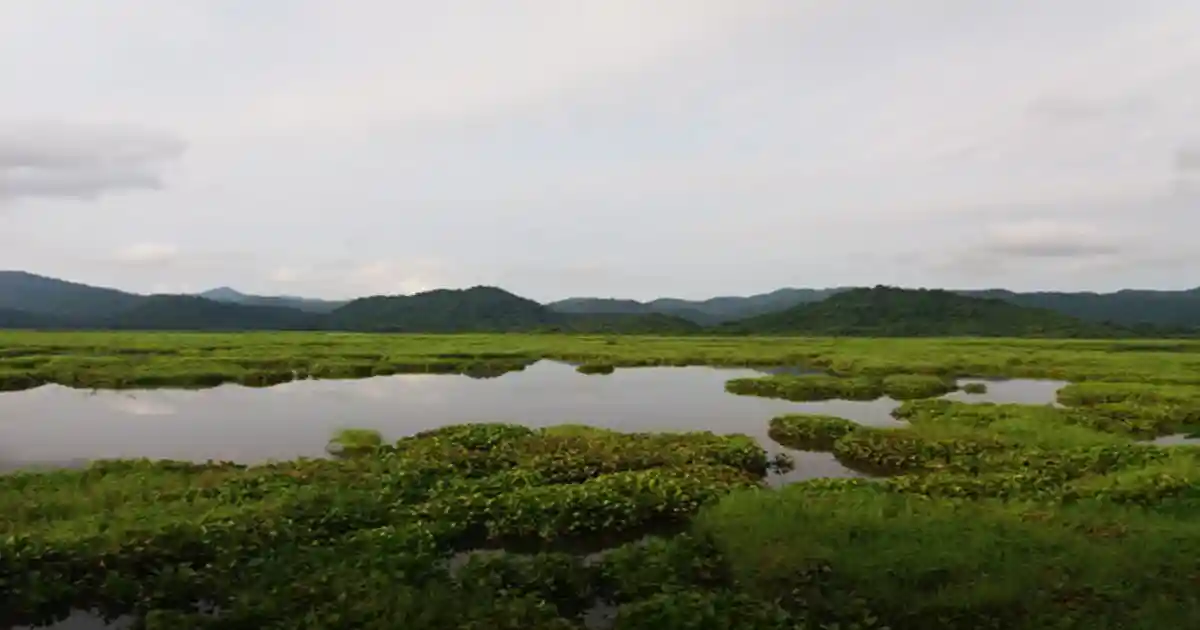 Chakrashila Wildlife Sanctuary » Naparks